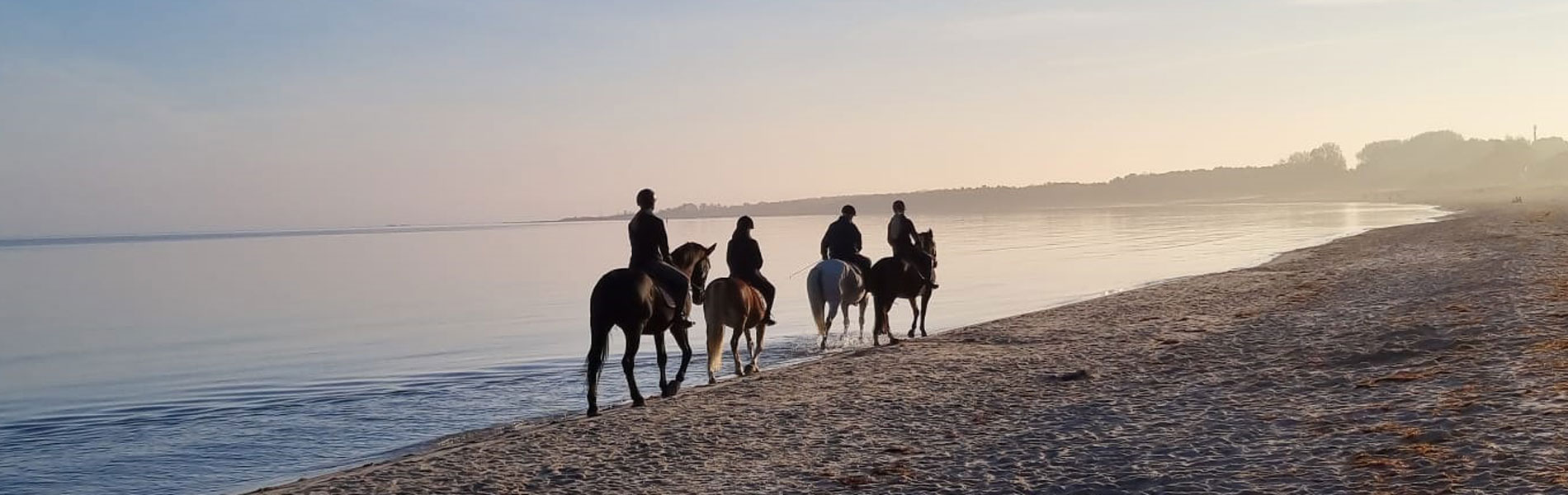 Reiten am Strand ~ Ostseebad Boltenhagen